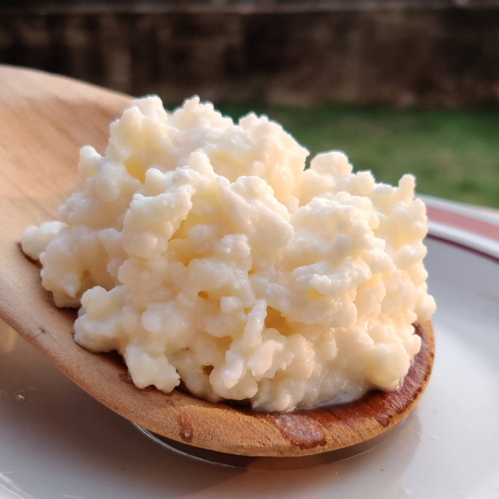 Will Kefir help you poop? - Kefir & Bowel Movement - The Kefir King