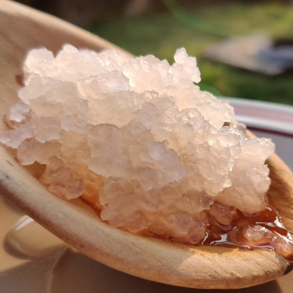 Will Kefir help you poop? - Kefir & Bowel Movement - The Kefir King